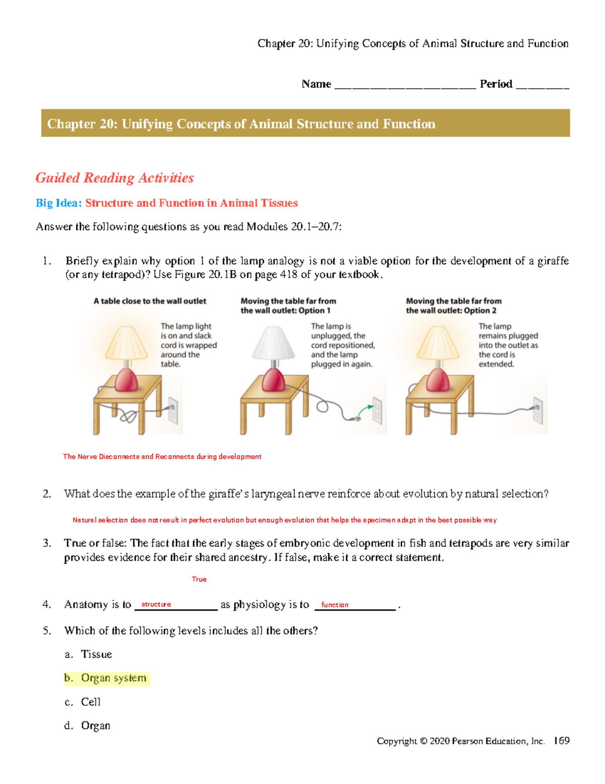 Chapter 20 Notes - Name ________________________ Period ...