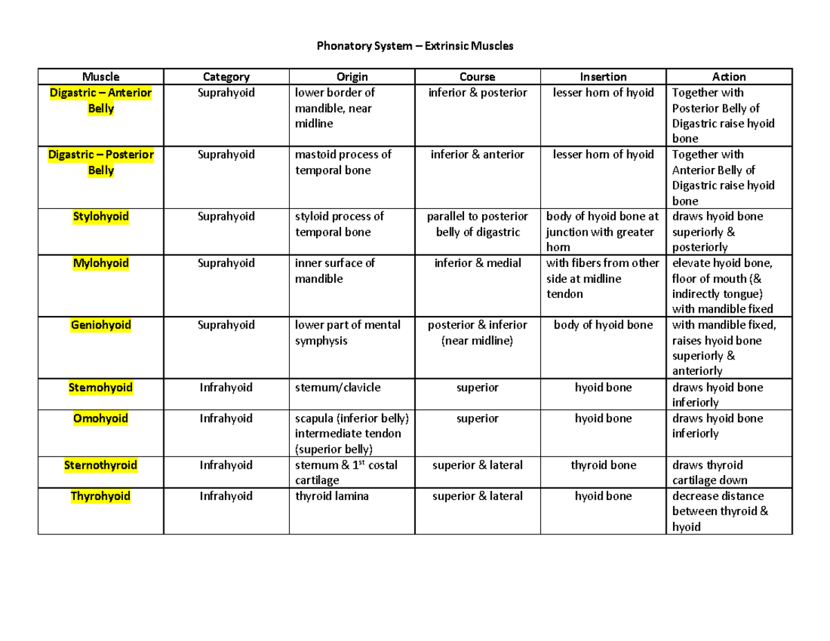 Extrinsic Muscles - study chart - Phonatory System – Extrinsic Muscles ...