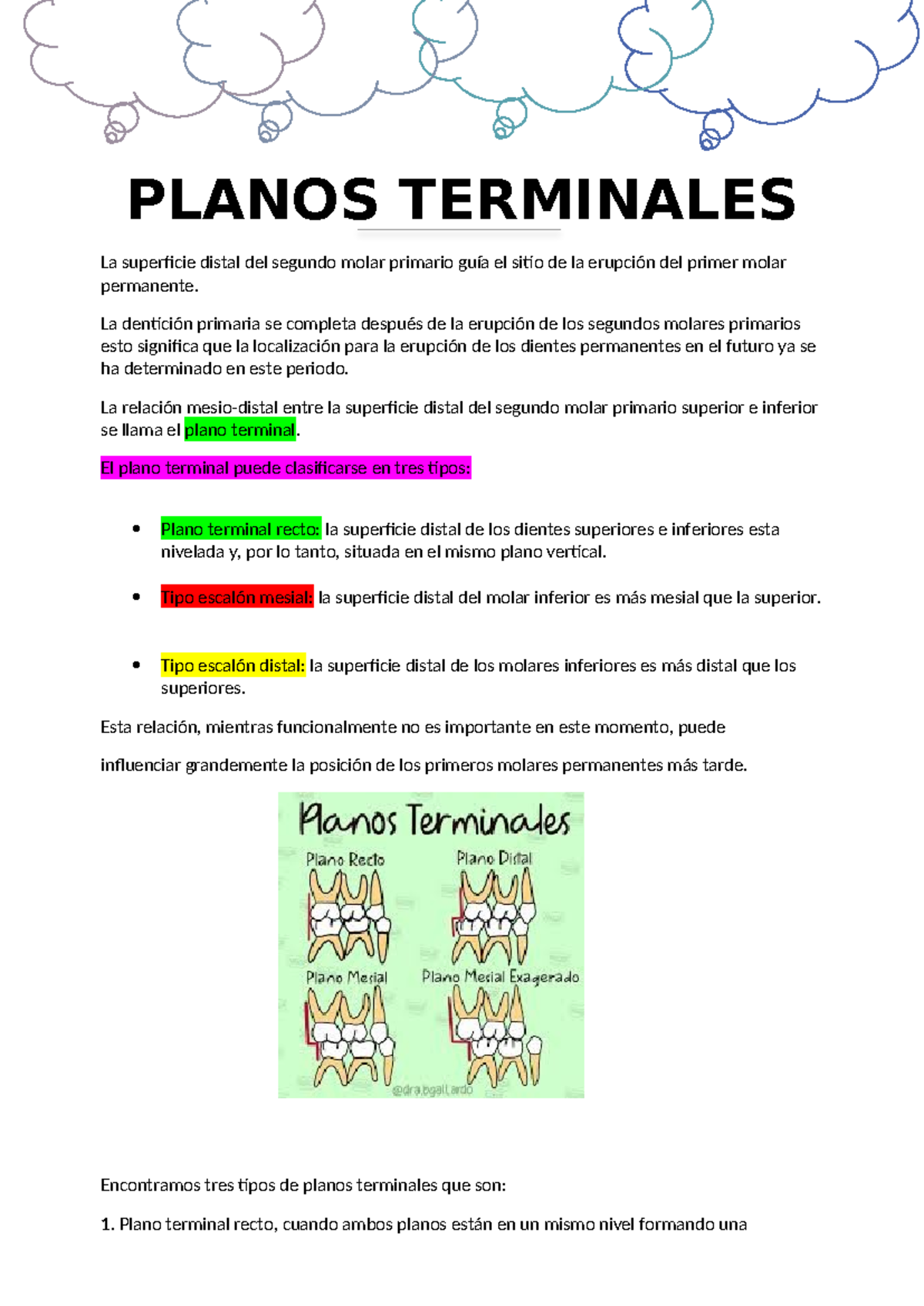 Planos Terminales - ESTUDIO - PLANOS TERMINALES La superficie distal ...