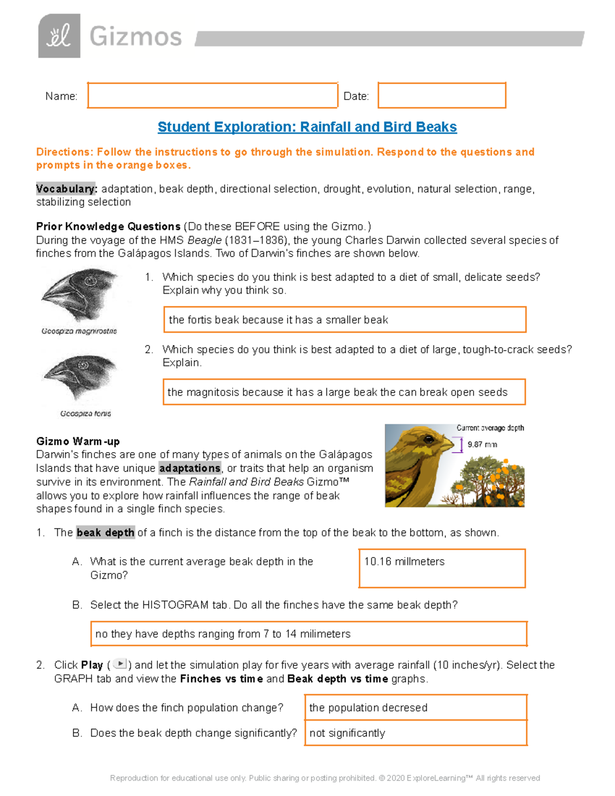 Jackson Borgos - Gizmo Rainfall and bird beaks - 14060630 - Name: Date ...