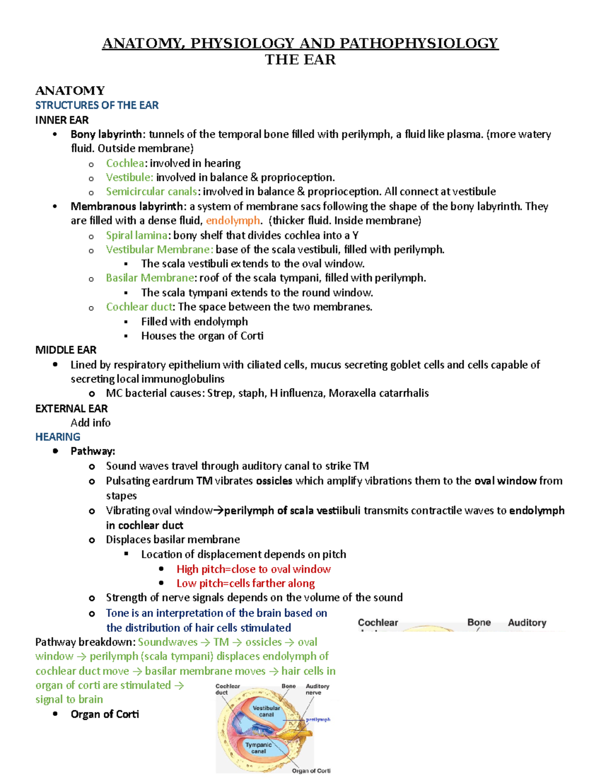 EAR Anat Patho - 237 - ANATOMY, PHYSIOLOGY AND PATHOPHYSIOLOGY THE EAR ...