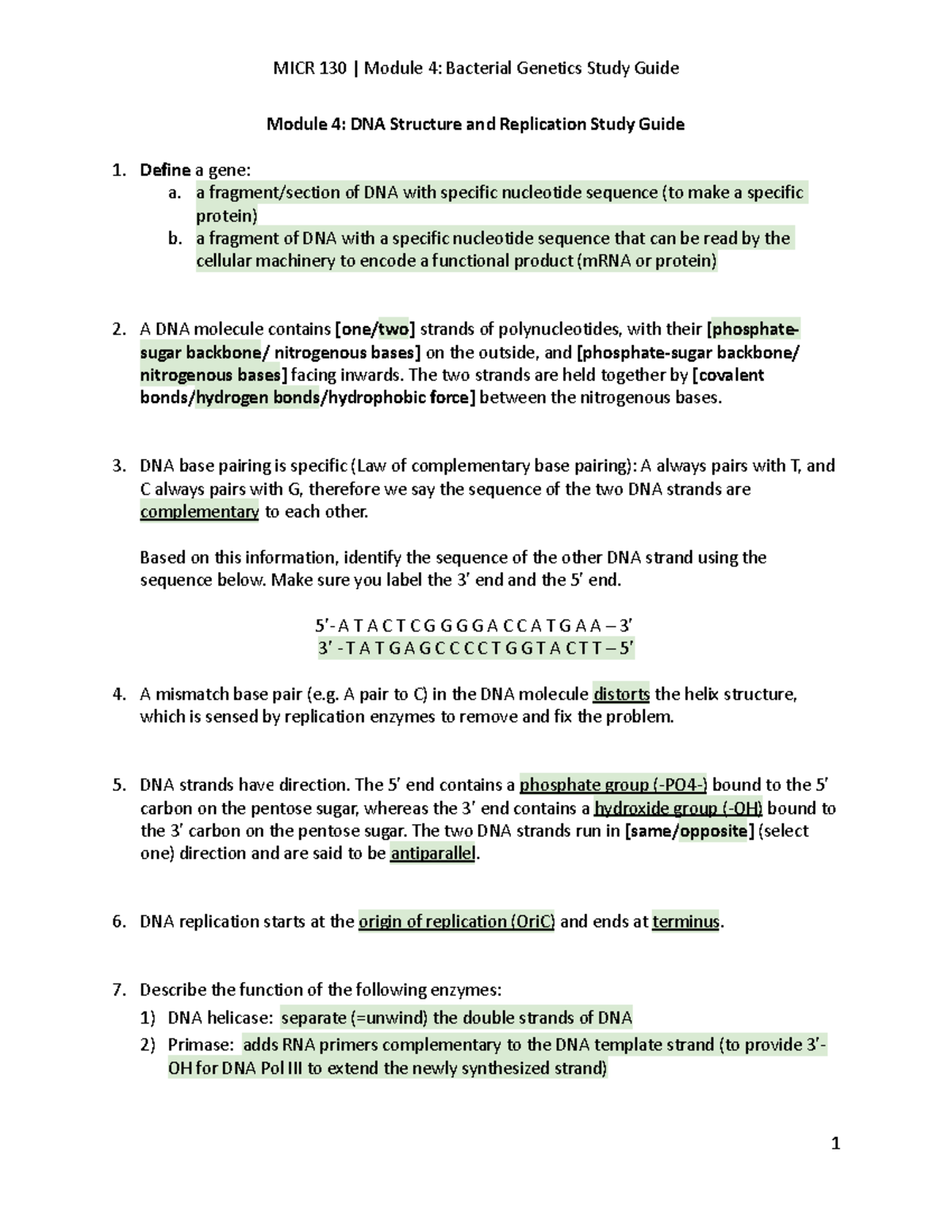 Module 4 DNA Structure and Replication Study Guide - MICR 130 | Module ...