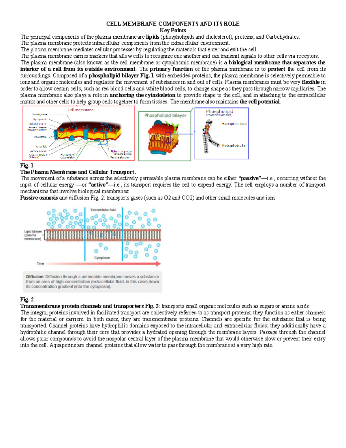 CELL Membrane Components AND ITS ROLE - CELL MEMBRANE COMPONENTS AND ...