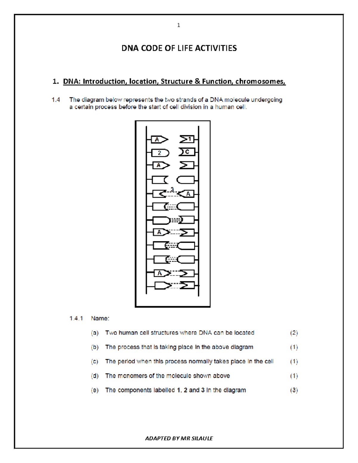 DNA CODE OF LIFE Activities Solutions.pdf no - DNA CODE OF LIFE ...