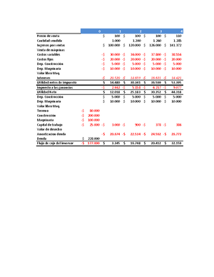 Formulacion y evaluacion de proyectos - Siglo 21 - Studocu