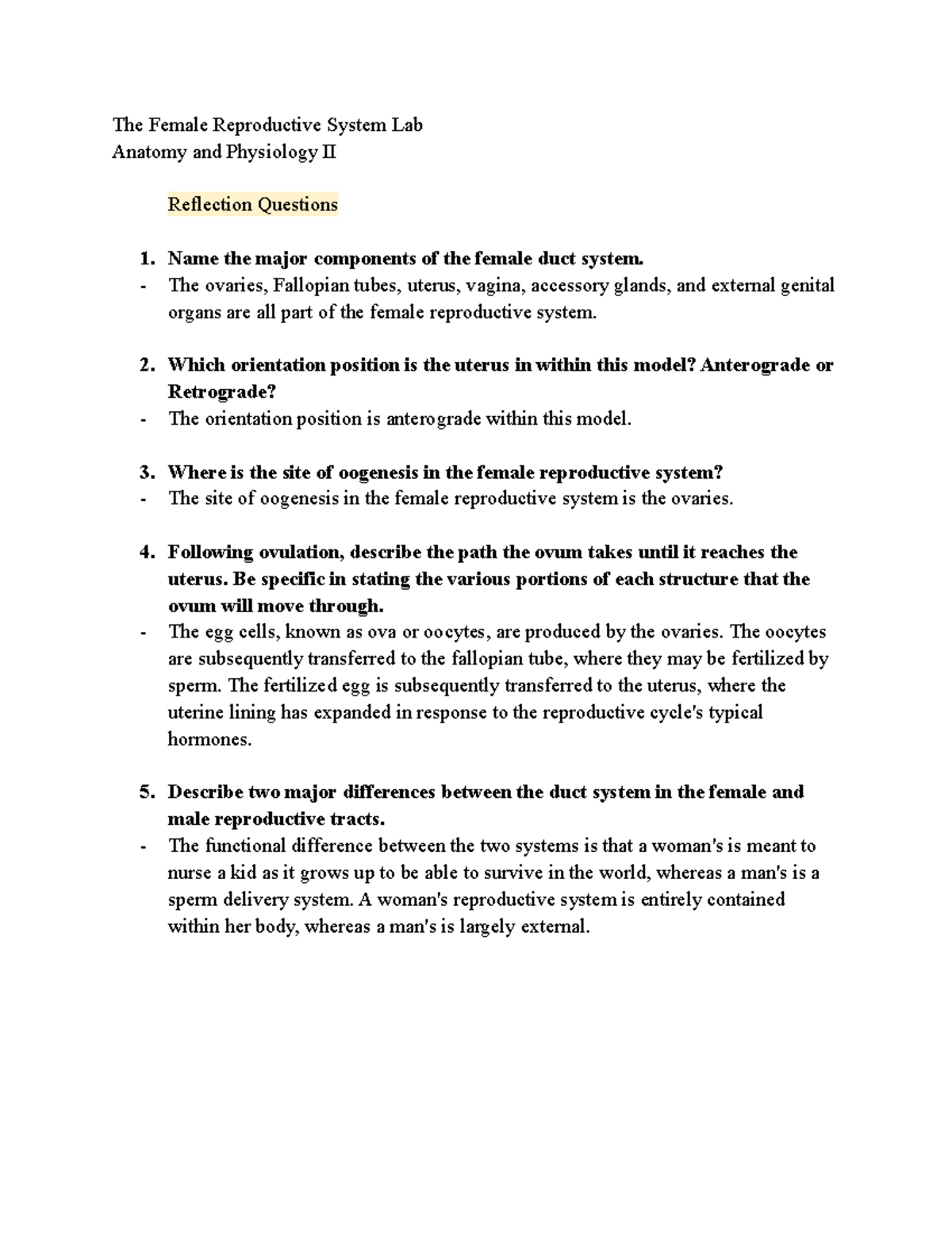 The Female Reproductive System Lab - The Female Reproductive System Lab ...