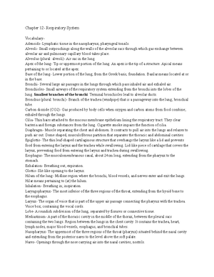 Ch 16 skin - medical terminology - Skin, hair, nails terms ...