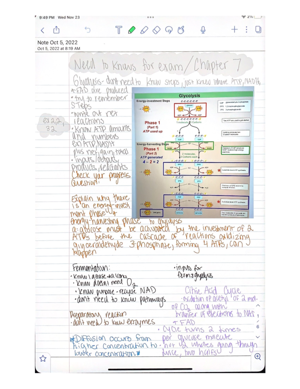 Chapter 7 BIO - Dr. Auron Intro to Life Processes Biology Notes - BIOL ...
