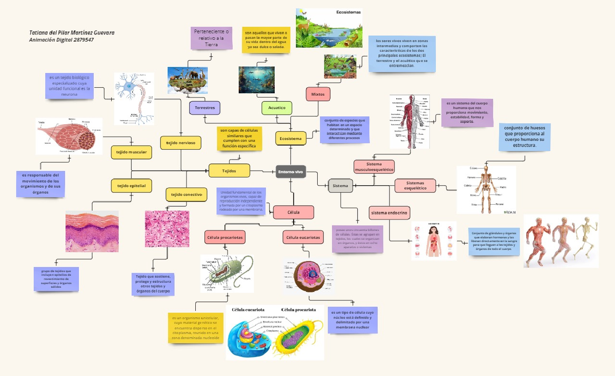 Mapa mental con los conceptos básicos del entorno vivo - Studocu
