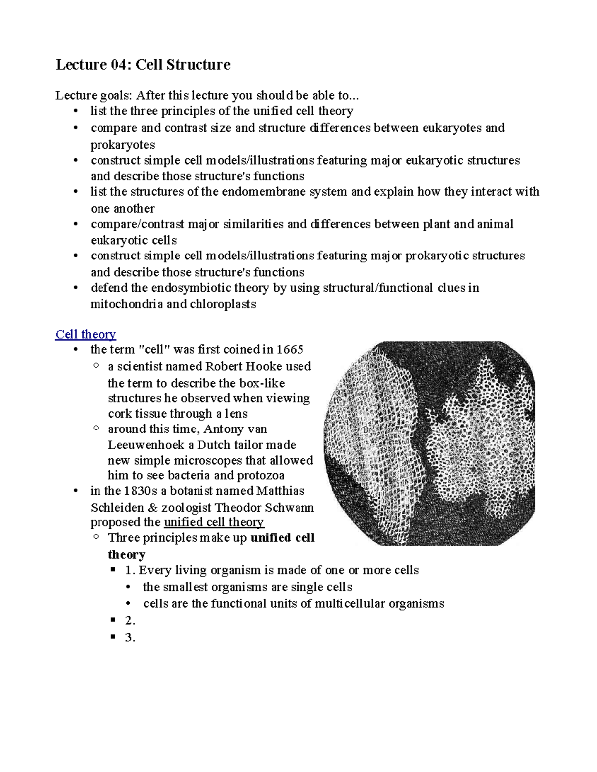 04 Cell Structure Handout - Lecture 04: Cell Structure Lecture goals ...