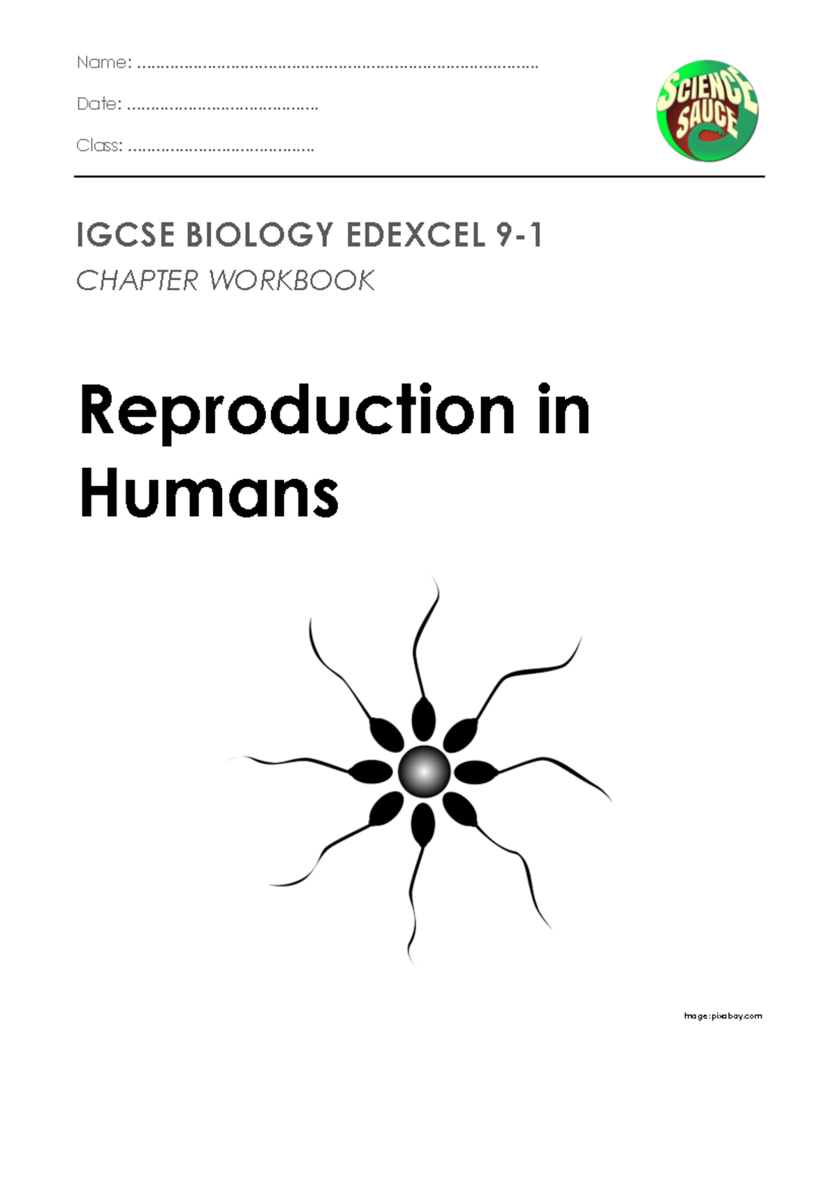 Reproduction-in-Humans - Name: - Studocu