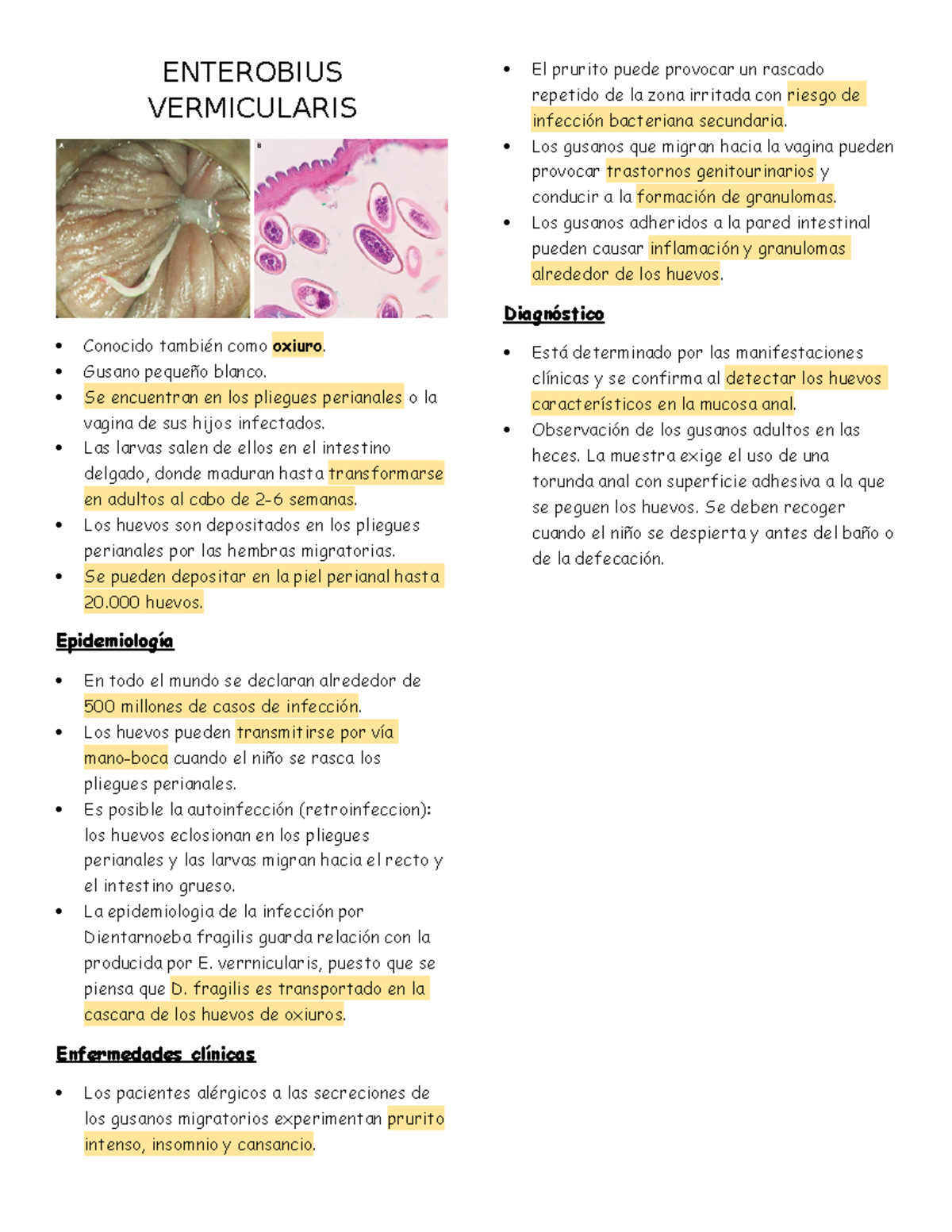 Parásitos: Ascaris Lumricoides, Enterobius Vermicularis, Giardia ...