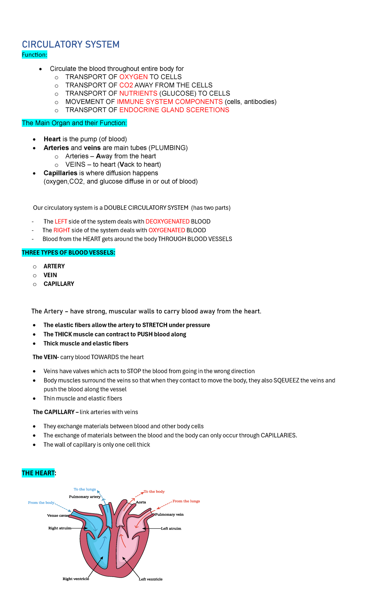 Science Lesson 2 II Quarter 1 - CIRCULATORY SYSTEM Function ...
