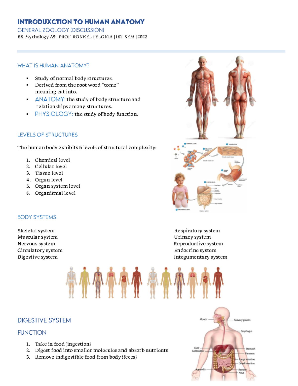 Humananatomy - Notes for human anatomy. - BS Psychology A9 | PROF ...