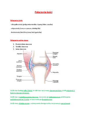 L1-układ ruchu - kości i stawy - 1. Kształt i rodzaje kości Kości ...