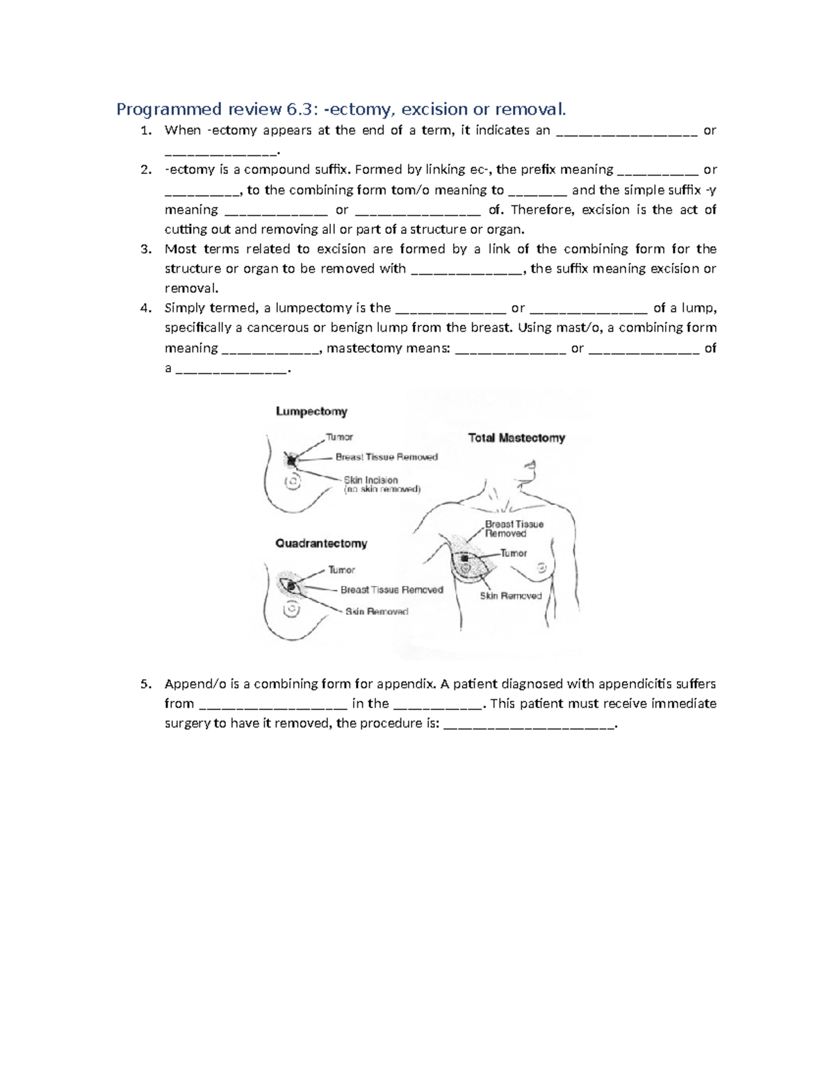 Programmed review 6 - tarea de lizeth - Programmed review 6: -ectomy ...