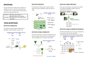 34-genetica caprina - Espero que te guste - MANUAL DE MEJORAMIENTO ...