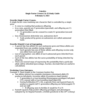 Single Factor Crosses Online - Genetics Recitation Online Problem Set ...