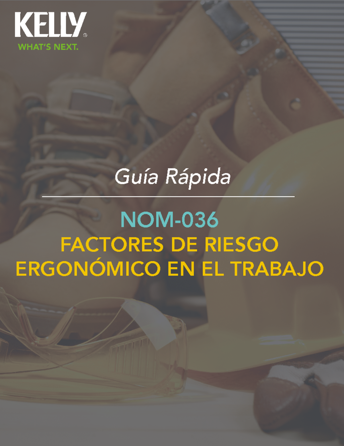 Guia NOM-036-1 - guia NOM-036-1-STPS-2018 - NOM- FACTORES DE RIESGO ...