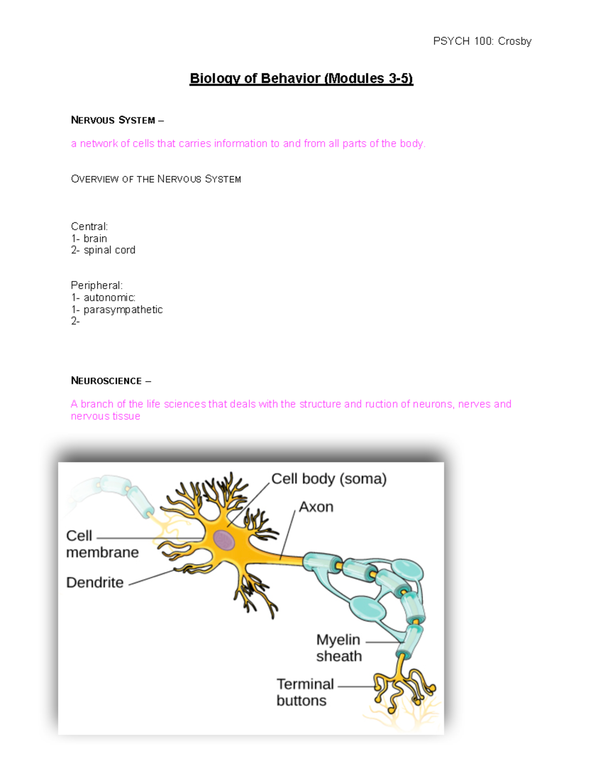 PSYCH 100 Biology of Behavior Student - Biology of Behavior (Modules 3-5) NERVOUS SYSTEM – a ...