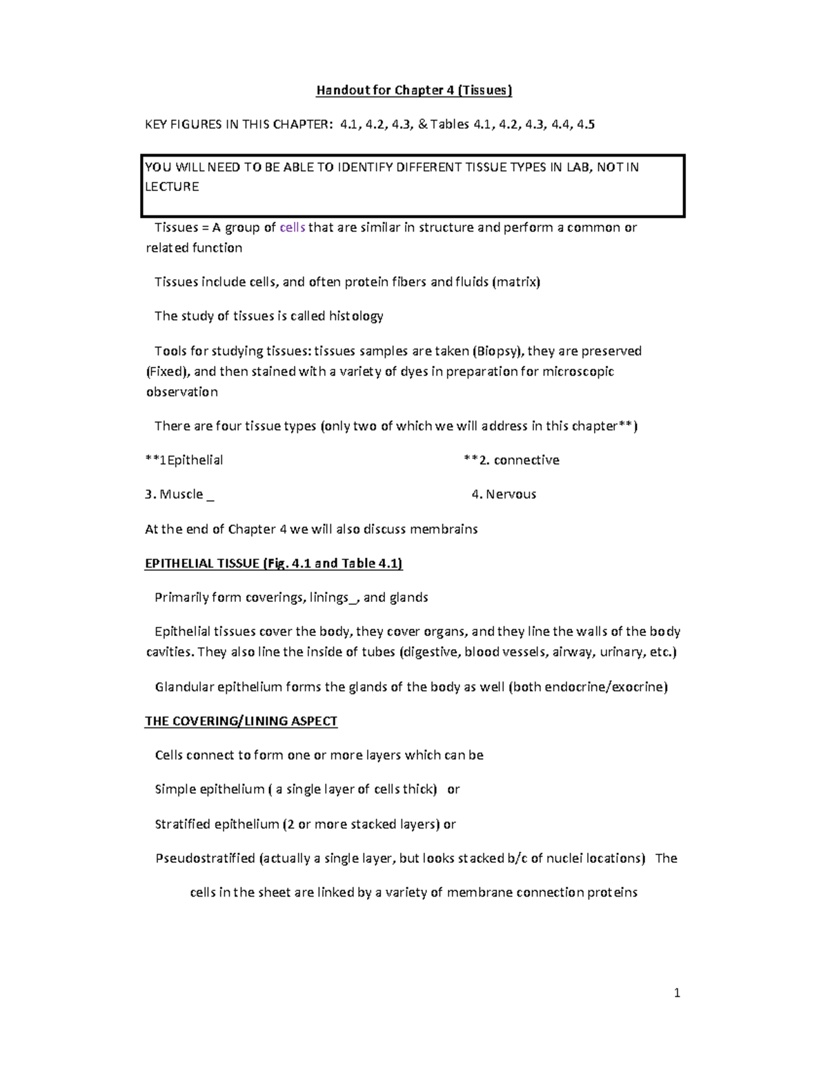 Chapter 4 Review - Handout for Chapter 4 (Tissues) KEY FIGURES IN THIS ...