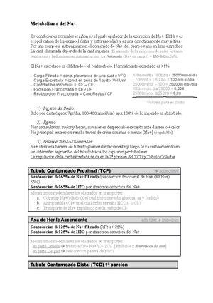 Insuf RESP AG 2 018 - sistema respiratorio explicado - Insuficiencia ...