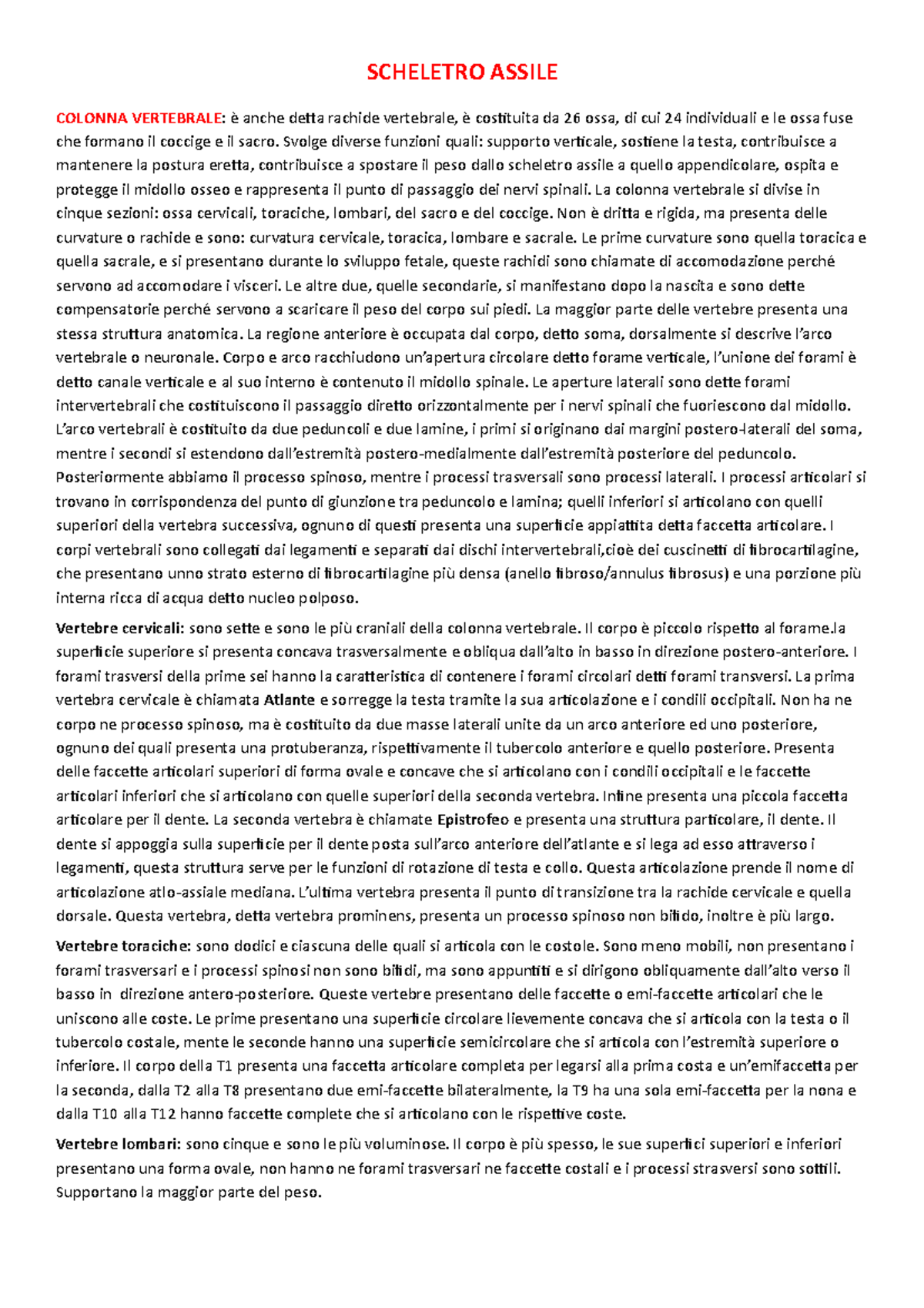 Scheletro Assile, riassunto - SCHELETRO ASSILE COLONNA VERTEBRALE: è ...