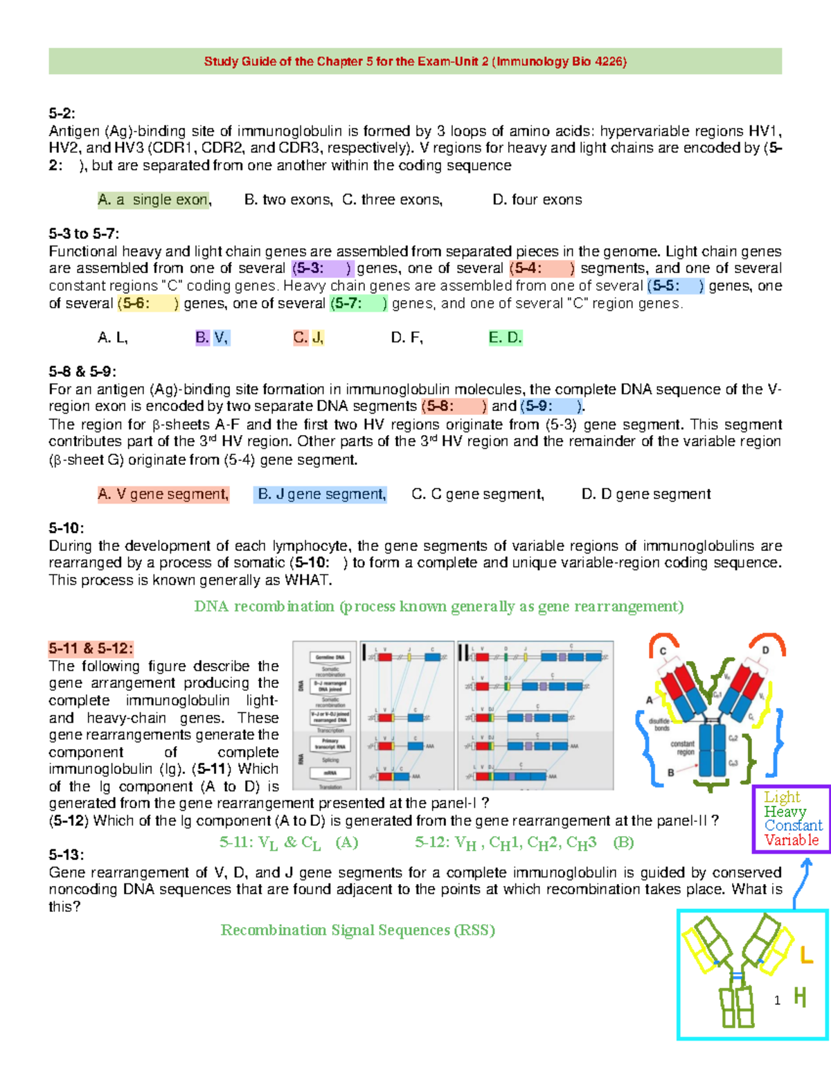 Ch5 Immuno Study Guide - Warning: TT: undefined function: 22 5-2: Antigen (Ag)-binding site of ...