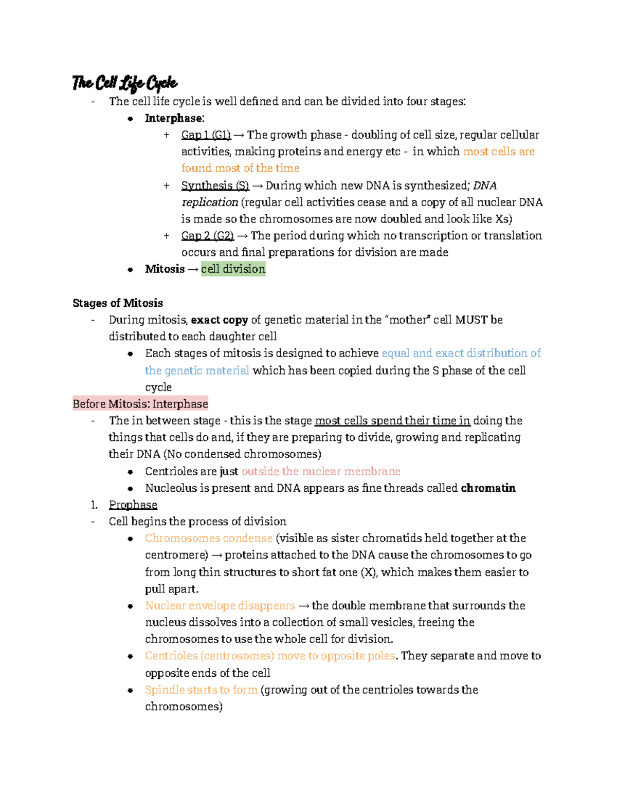 The Cell Cycle - The Cell Life Cycle The cell life cycle is well ...