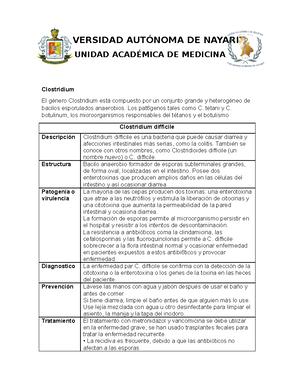 Hongos - UwU - TIPOS DE HONGOS HONGOS ORNAMENTALES Usados para fines ...