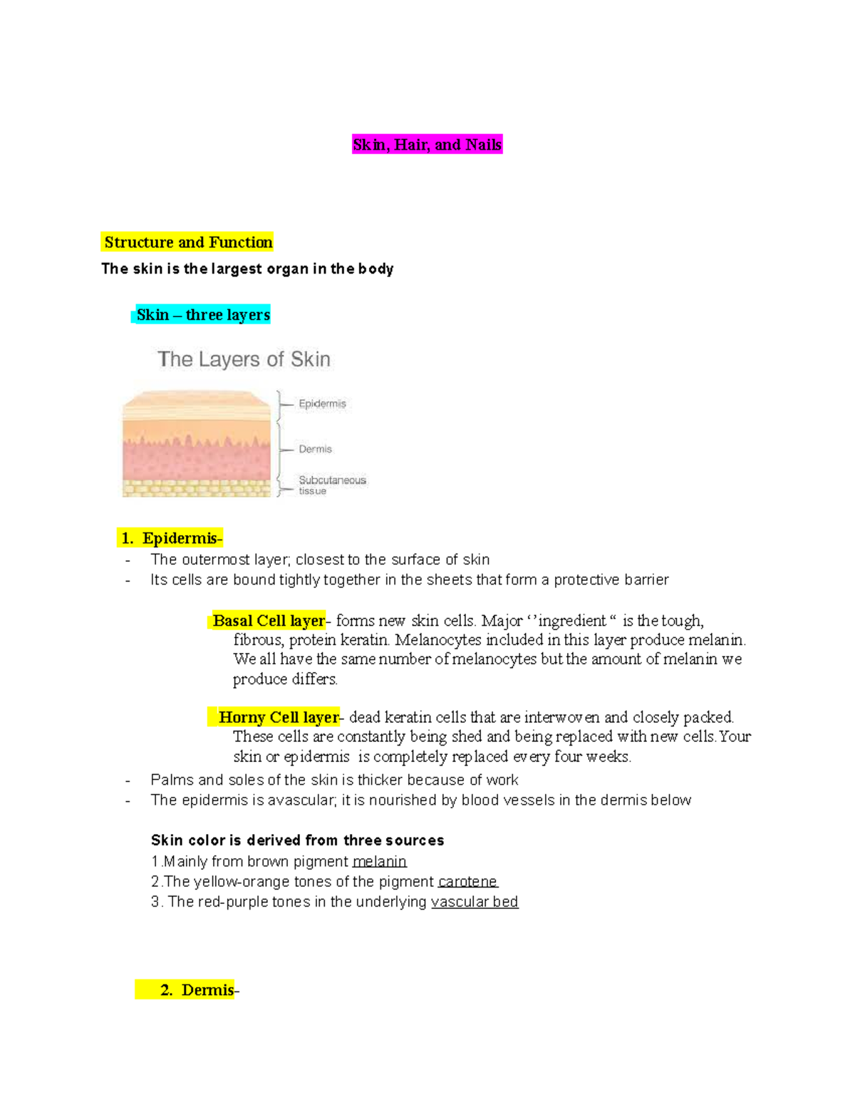 Skin, Hair, and Nails, Head Face and neck - Skin, Hair, and Nails ...