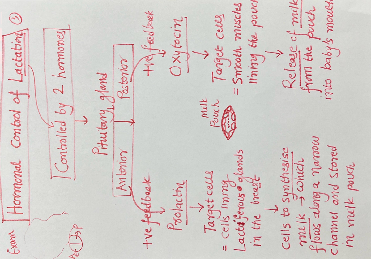 Reproduction exam notes - Studocu