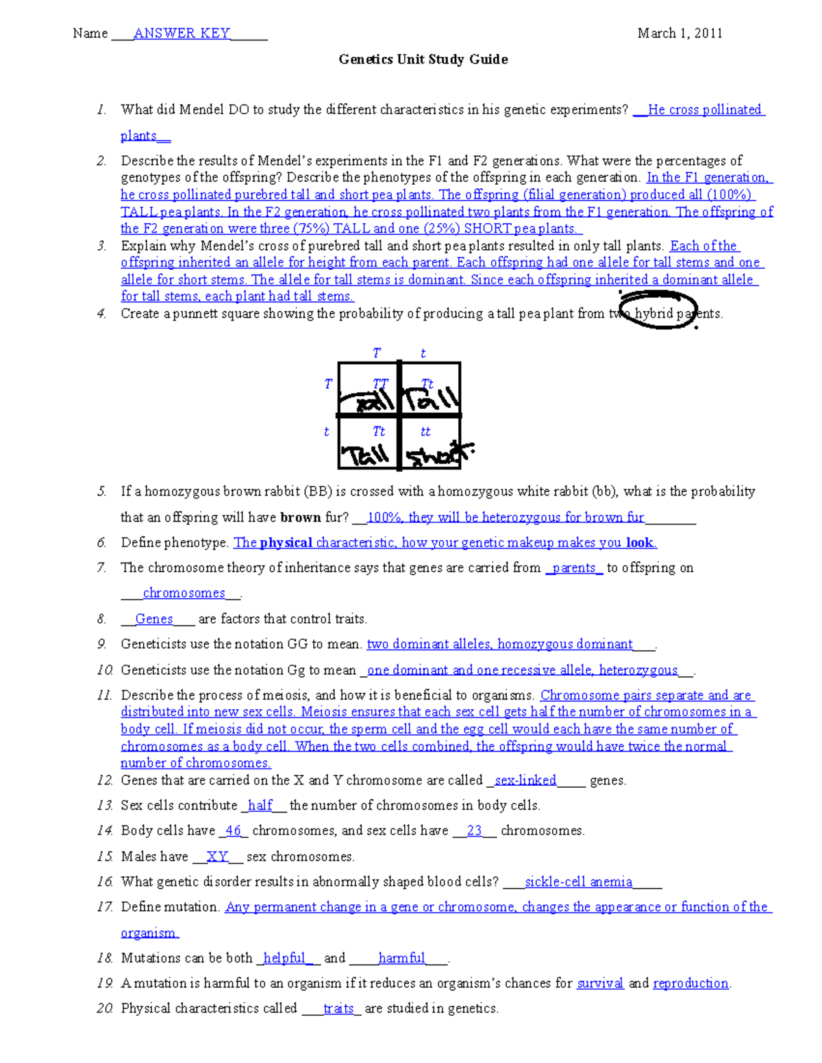 Genetics Study Guide 1 Key - T t T TT Tt t Tt tt Name ANSWER KEY ...