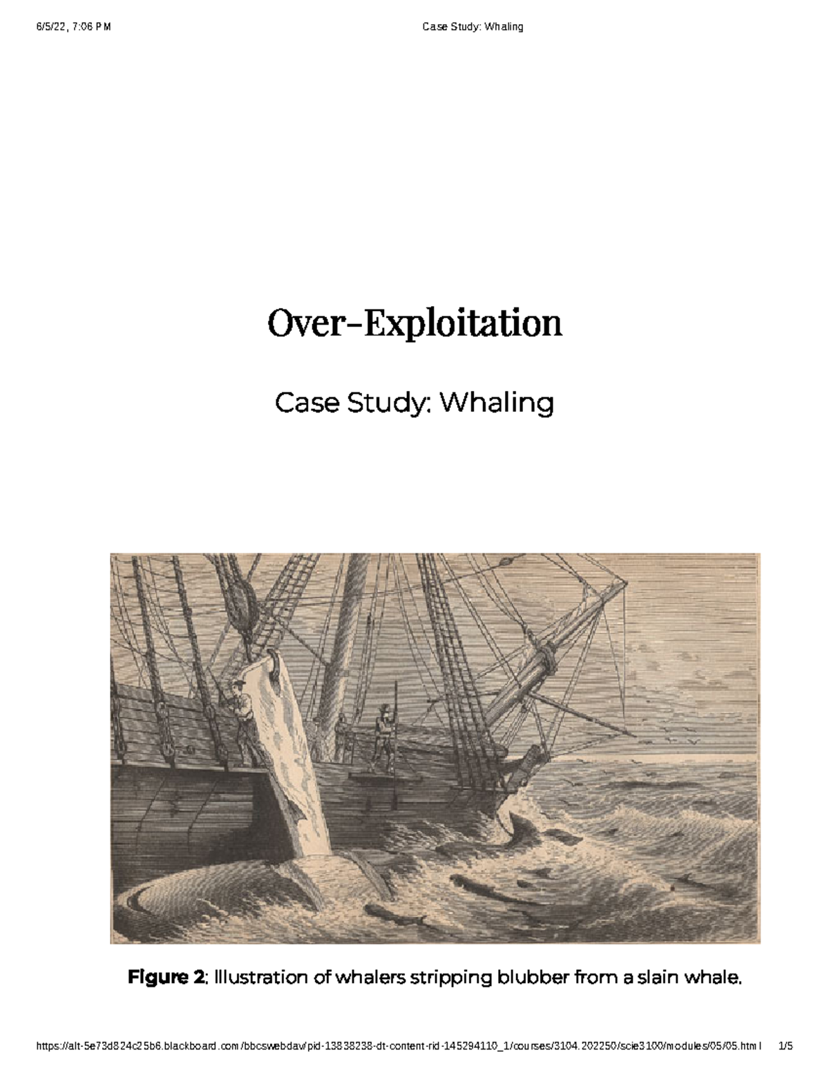 Case Study Whaling - N/A - Figure 2: Illustration of whalers stripping ...
