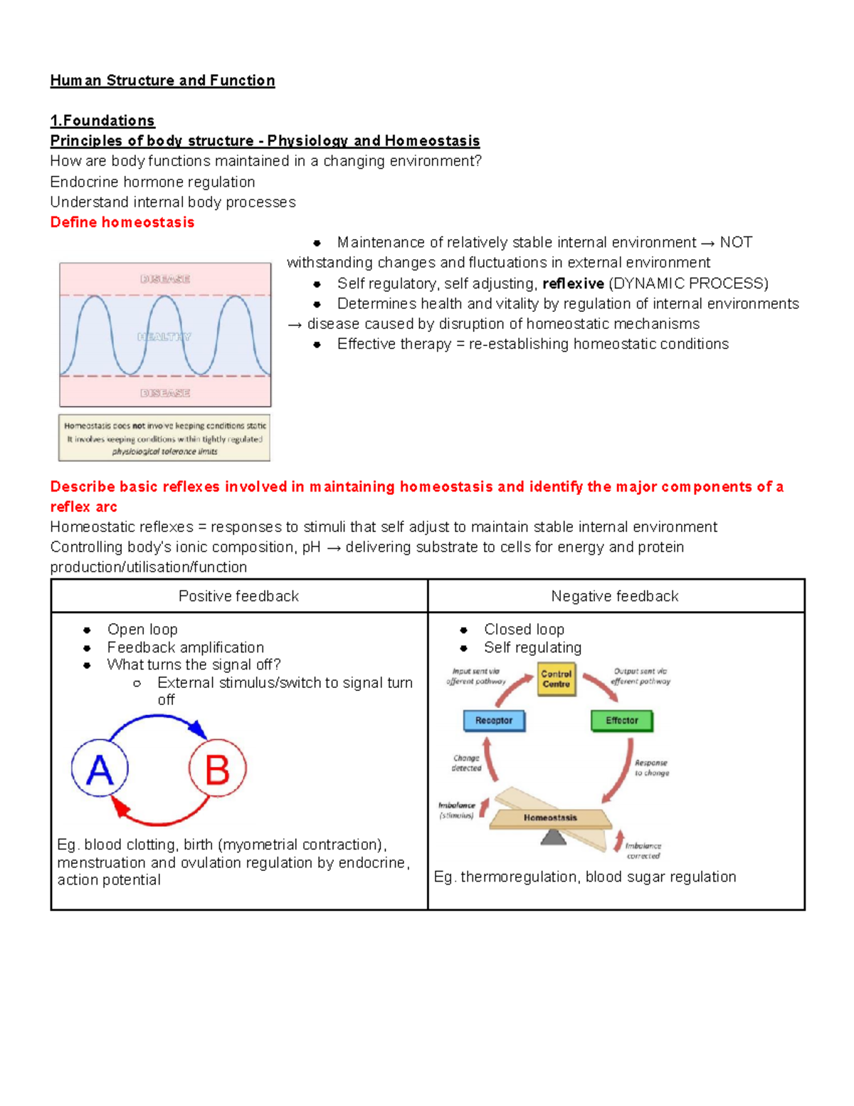 HSF Foundations lecture notes - Human Structure and Function 1 ...