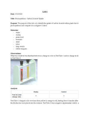 Diffusion - Effects of Concentration on the Rate of Diffusion in a ...