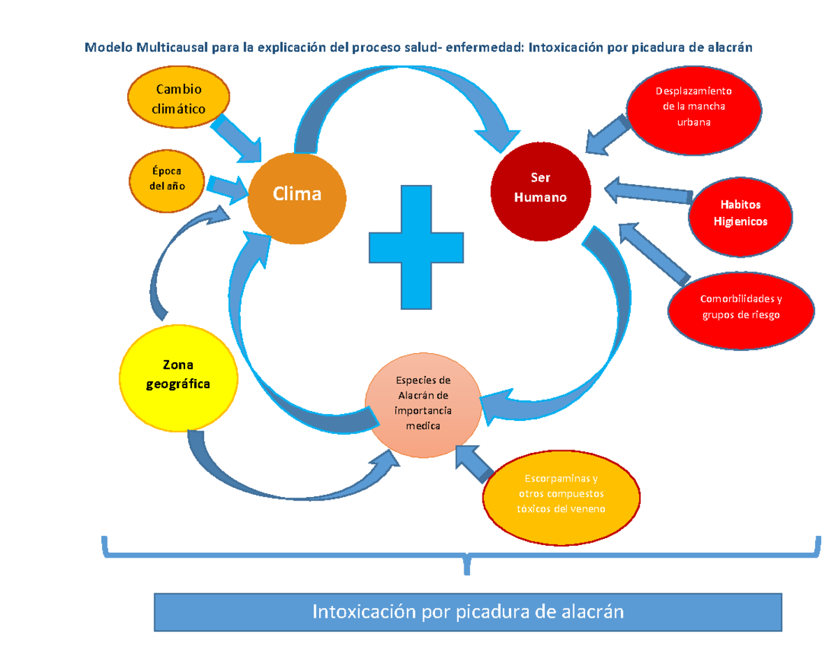 Modelo Multicausal para la explicación del proceso salud - Modelo ...