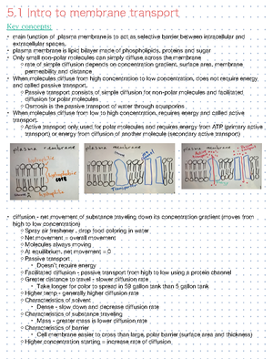 Module 7 Endocrine System - endocrine system releases hormones that ...