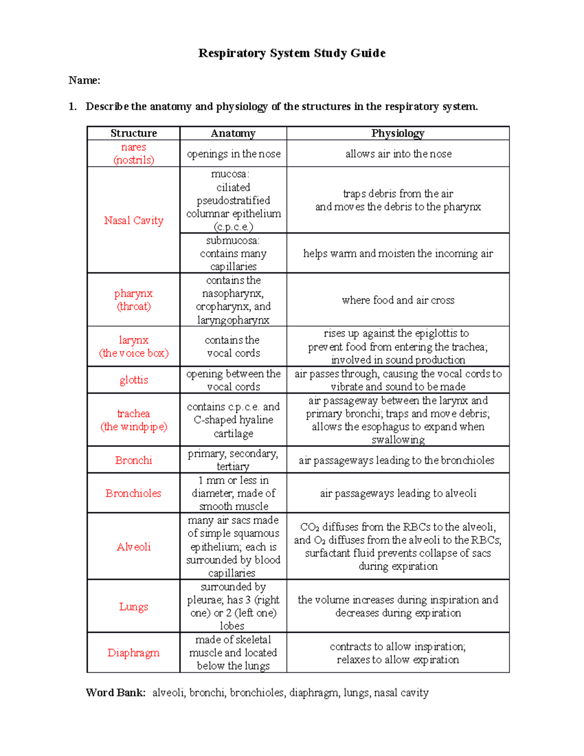 Respiratory System Study Guide Bio 151 unit 3 - Respiratory System ...