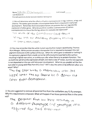 Isaiah Dominguez prelab 5 - Narne 1n OYnez. Lab Group# Lab Module 05 ...