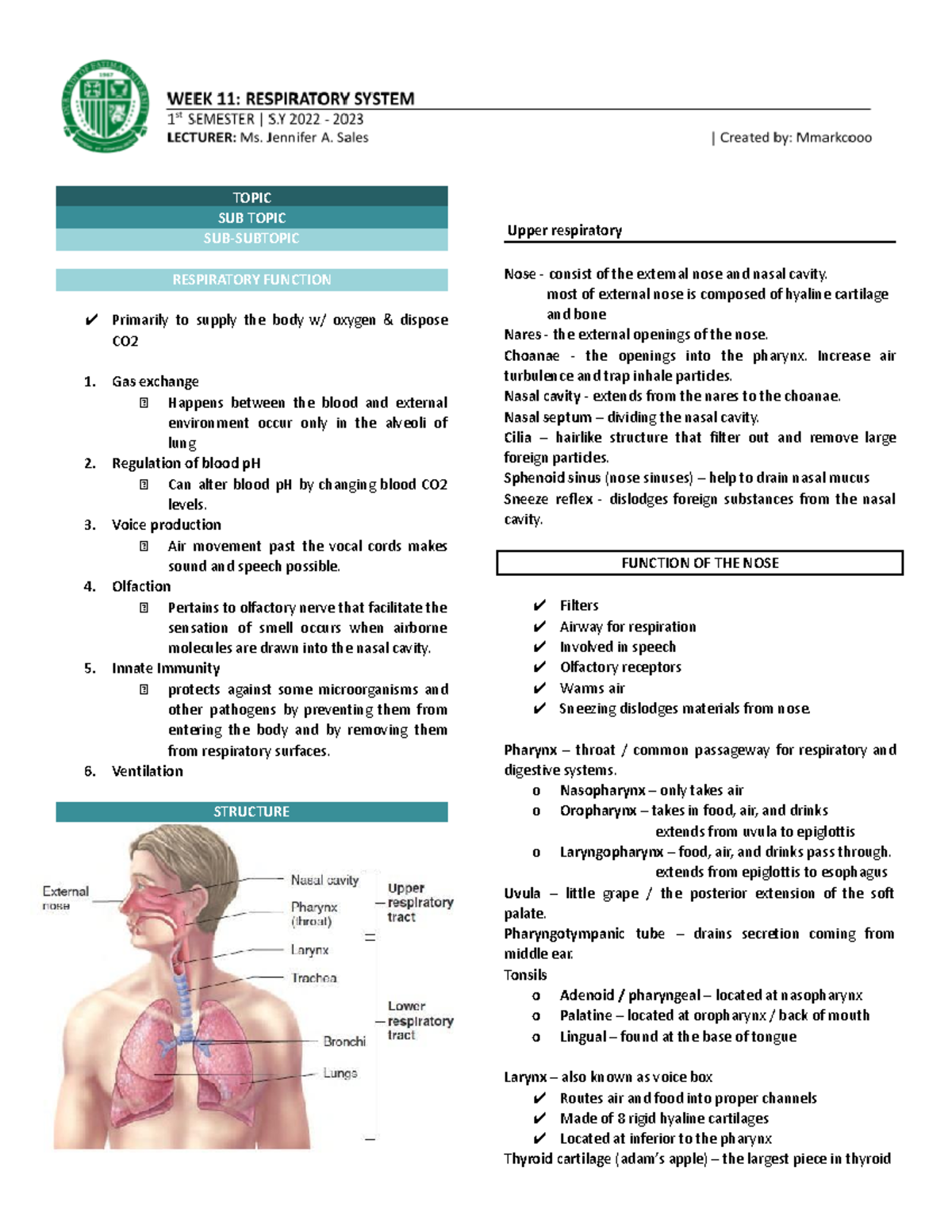 (W11) Respiratory System - TOPIC SUB TOPIC SUB-SUBTOPIC RESPIRATORY ...