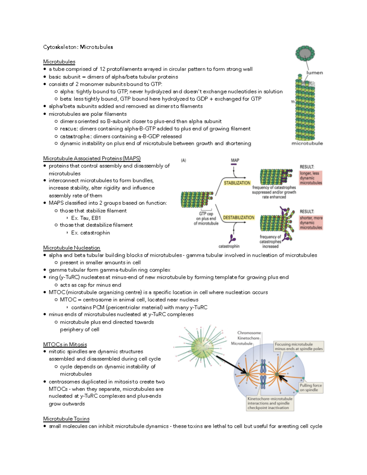 Module 7 Lecture 2 - Cytoskeleton: Microtubules Microtubules a tube ...