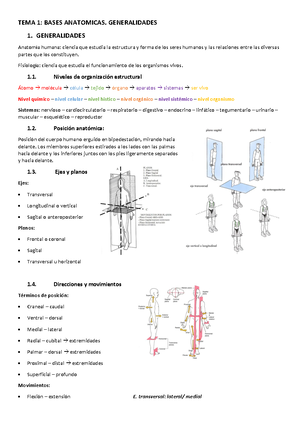 Tablas de anatomía - POSICIONES BÁSICAS NOMBRE DESCRIPCIÓN INDICACIONES ...
