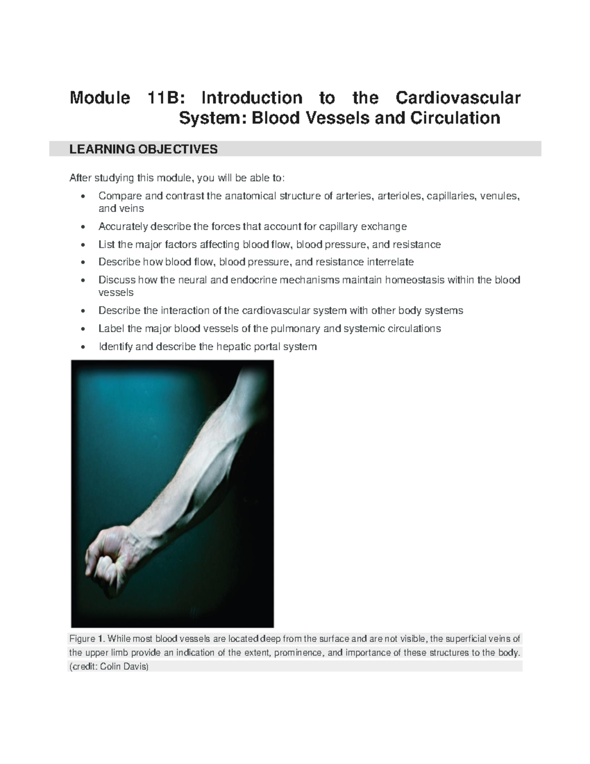 Chapter 11B - Cardiovascular System (Blood Vessels and Circulation ...
