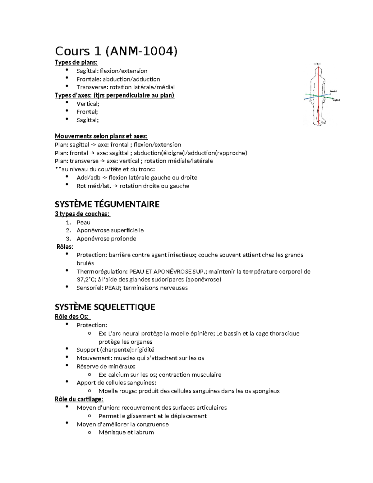 Cours 1 (ANM-1004) - Cours 1 (ANM-1004) Types de plans: Sagittal ...