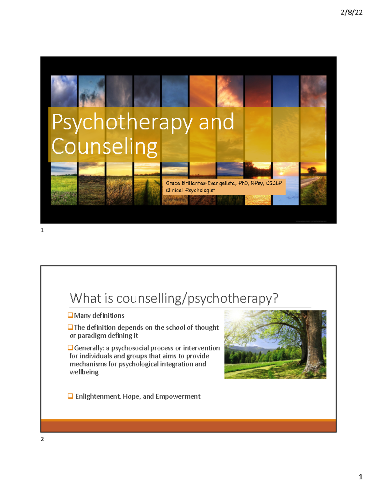 Introduction to Psychotherapy and Counseling - Psychotherapy and ...