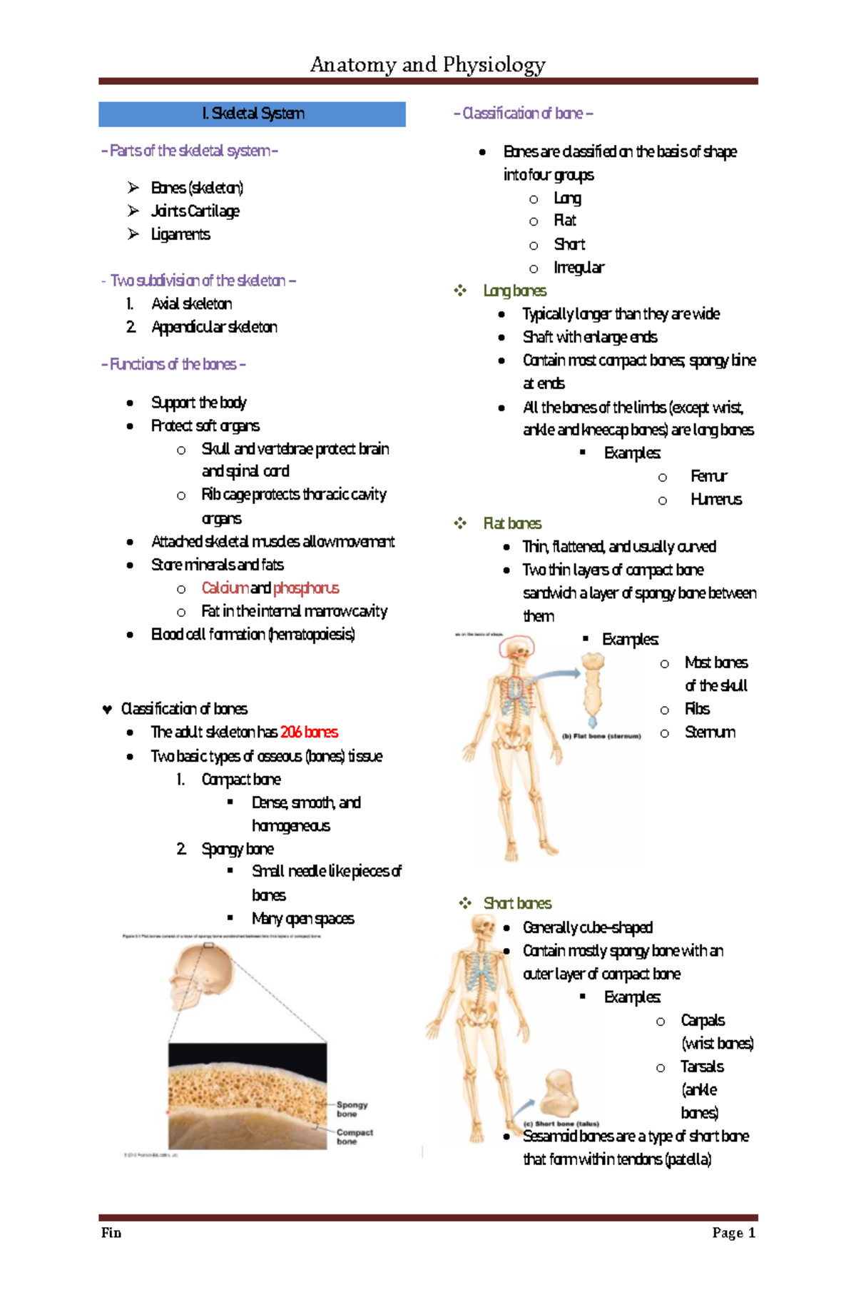 Skeletal-system - Nice to read and informative - I. Skeletal System ...