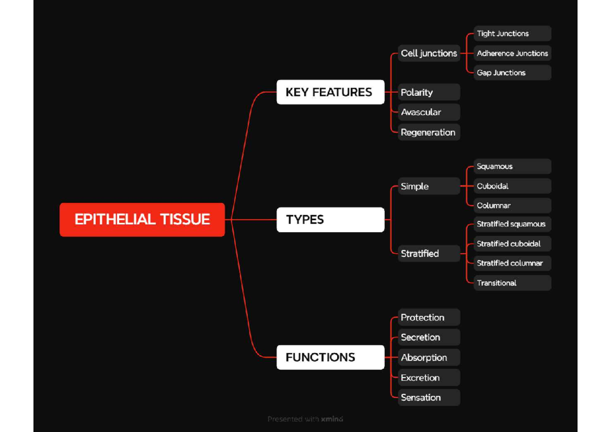 Histology Concept MAPS - Tight Junctions Cell junctions Adherence ...