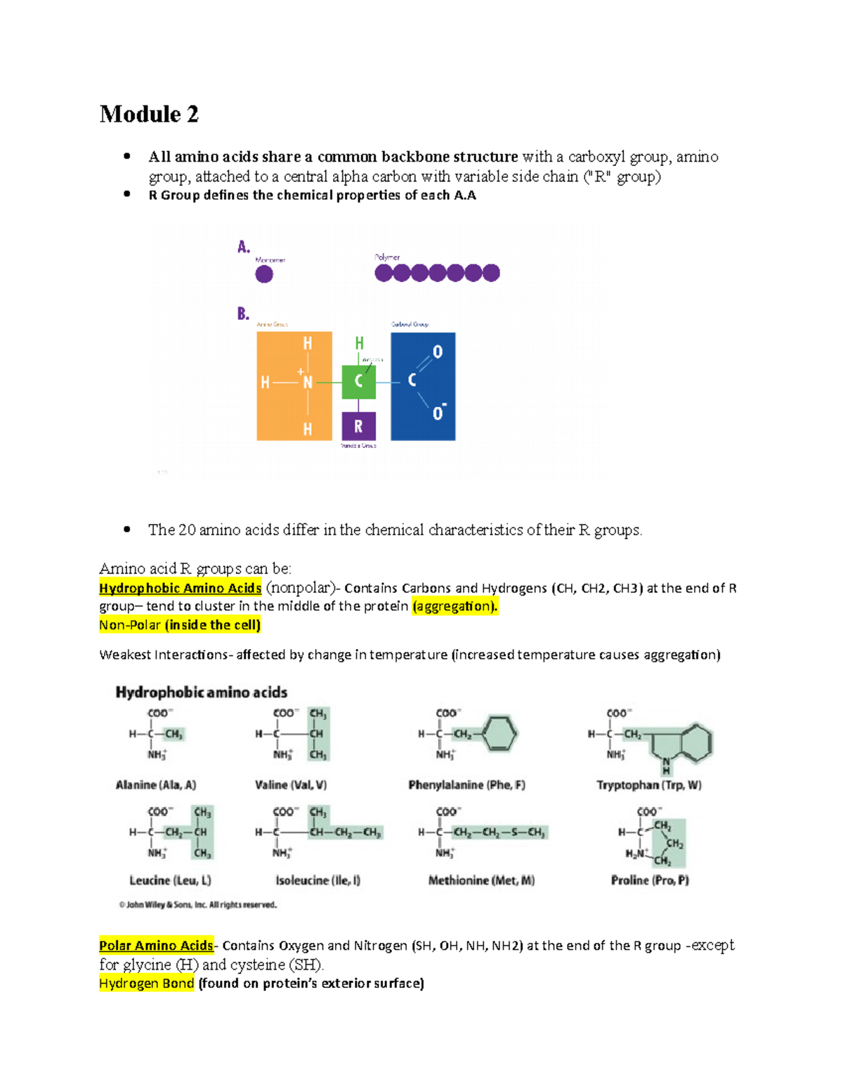 Module 2 notes - Module 2 All amino acids share a common backbone ...
