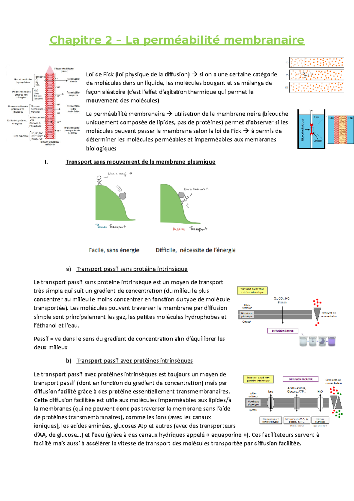 Chapitre 2 - La perméabilité membranaire - Transport sans mouvement de ...